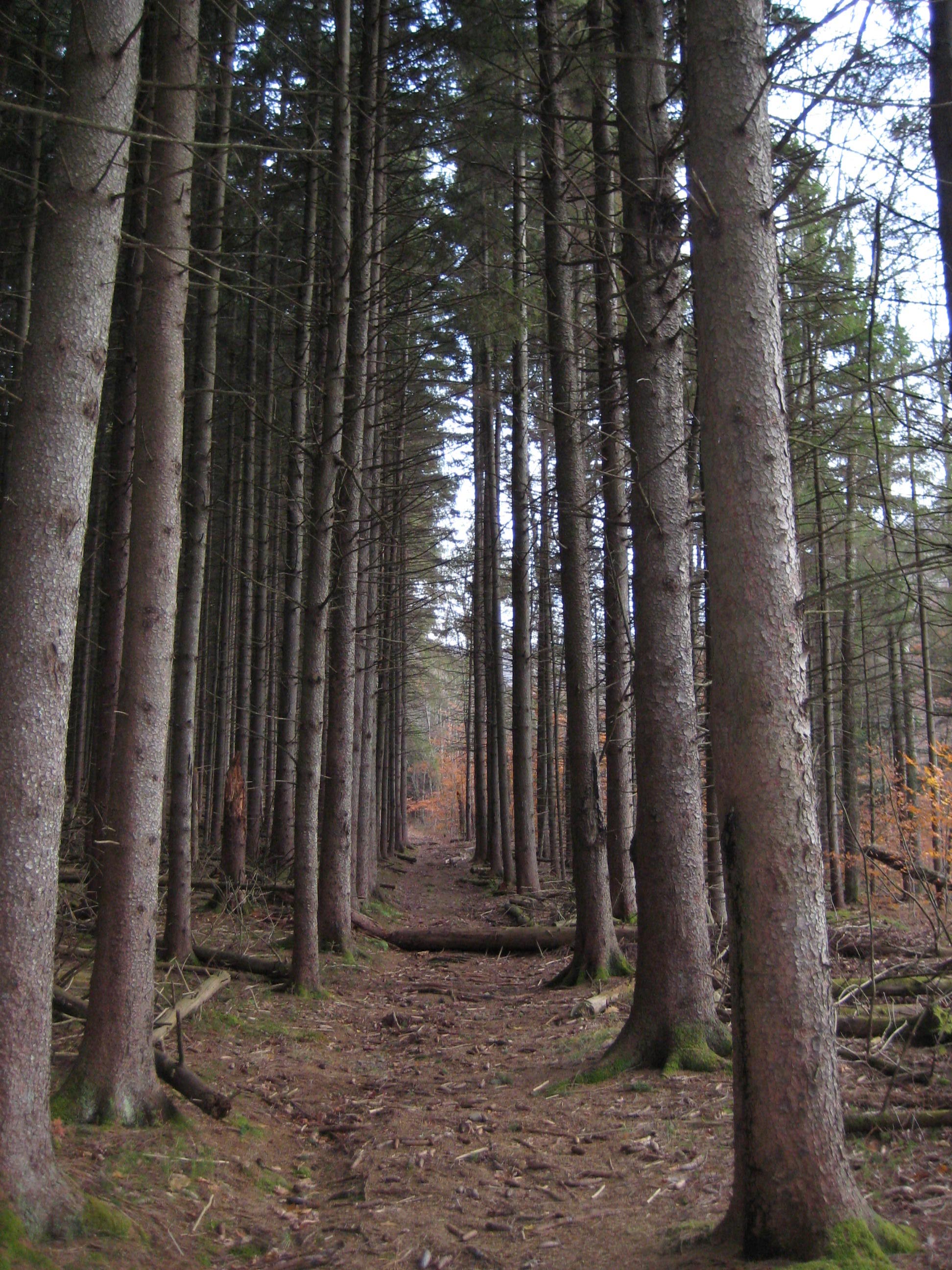 Kelly Trail's Instagram, Twitter & Facebook on IDCrawl